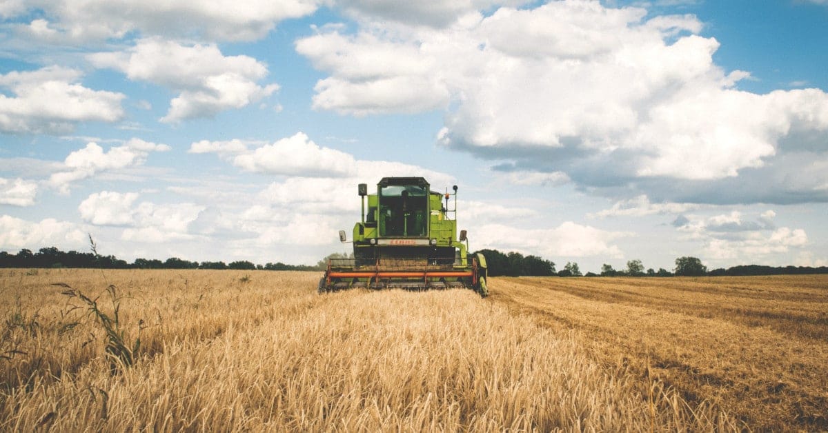 Divorce and the Family Farm | Farm Divorce Settlements | Woolley & Co ...