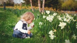 What is a Section 7 report? | Expert guide by Woolley & Co, Solicitors